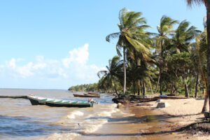 Para - Suriname Travel